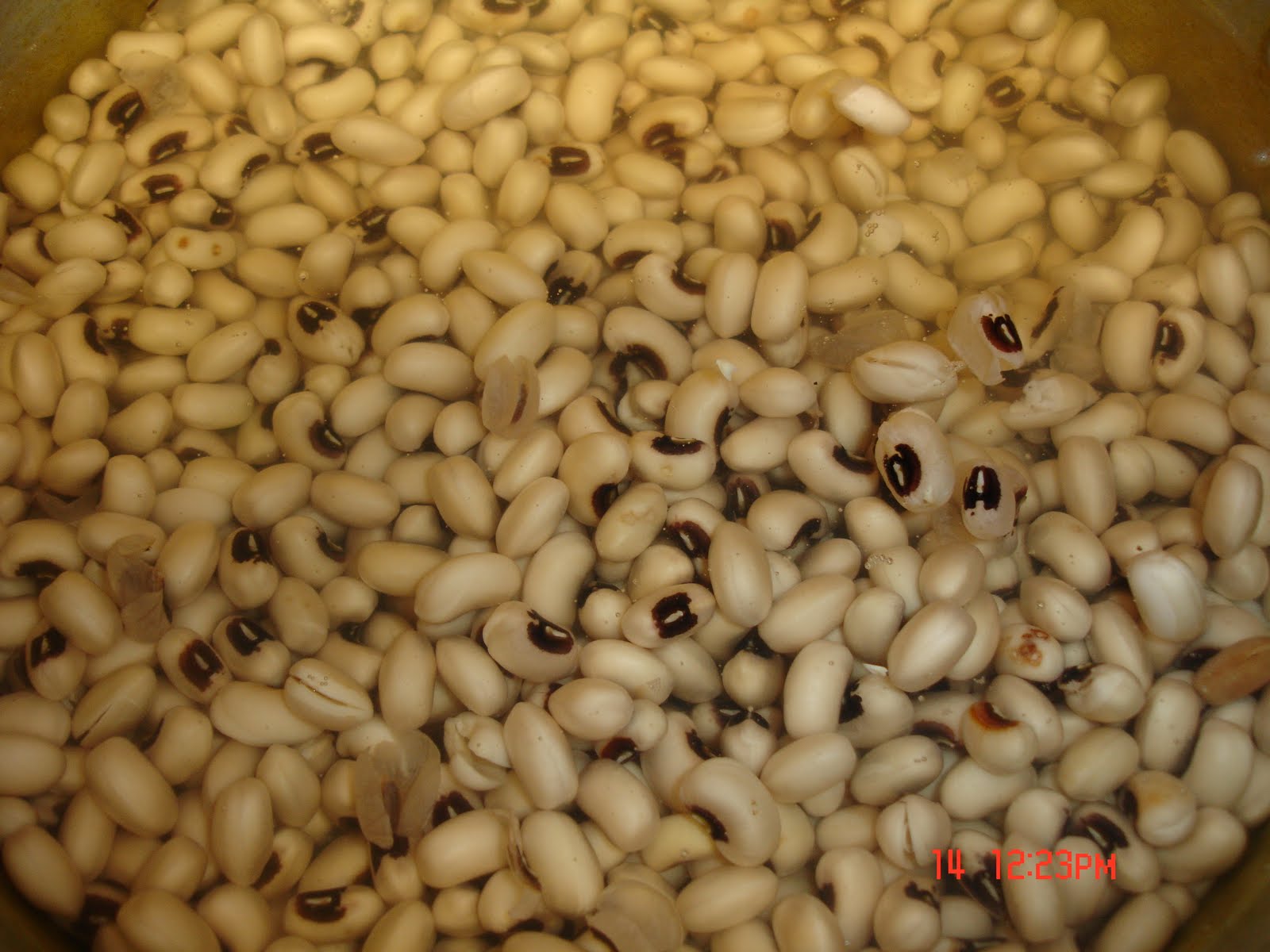 Vimala's Kitchen.: Bobbarla Garelu – Black eyed Peas Fritters