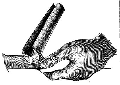 Naquem.: Operation Tuli, The Rite of Summer