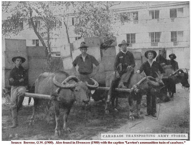 Naquem.: Haw, Haw, the Karabaw. Part 2.