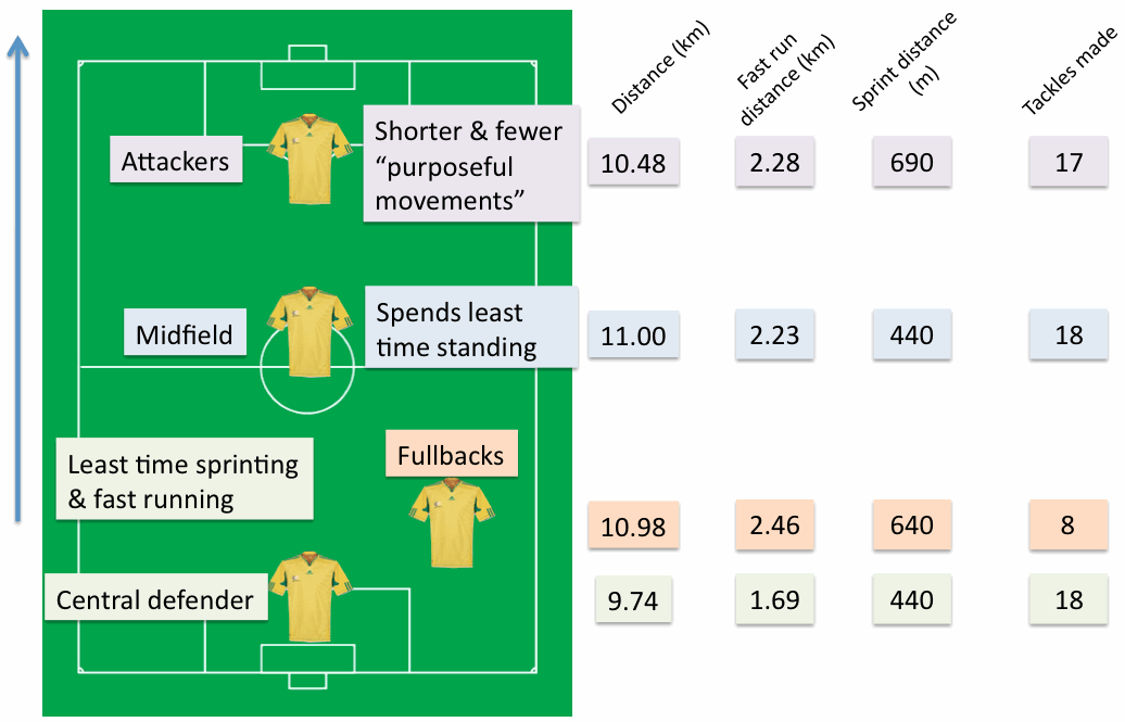 Football analysed | News24