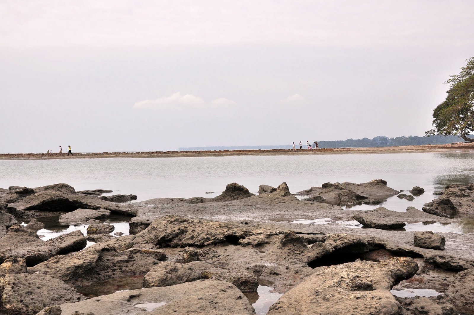 Sam & Pierre à Libreville: Après-midi au Cap Esterias