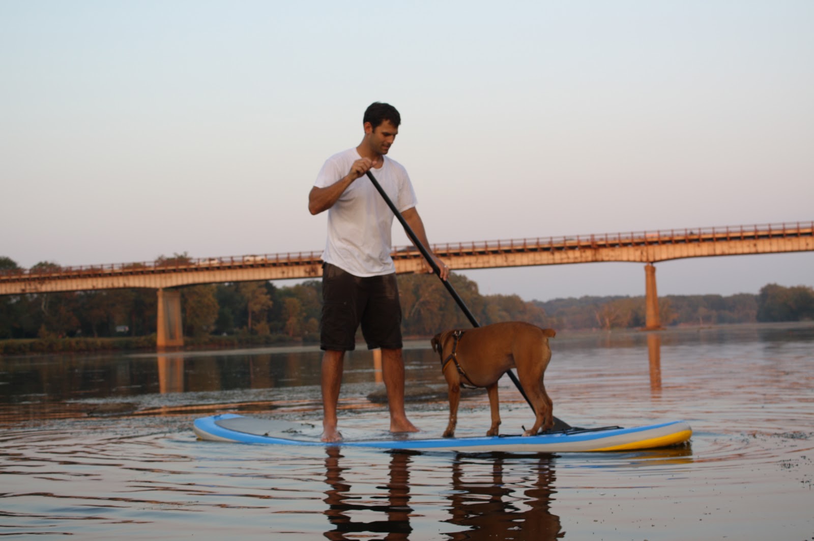 SUP Virginia: SUP Dog...