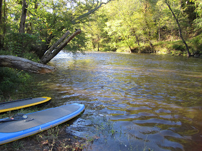 SUP Virginia: SUP South Anna River, Va
