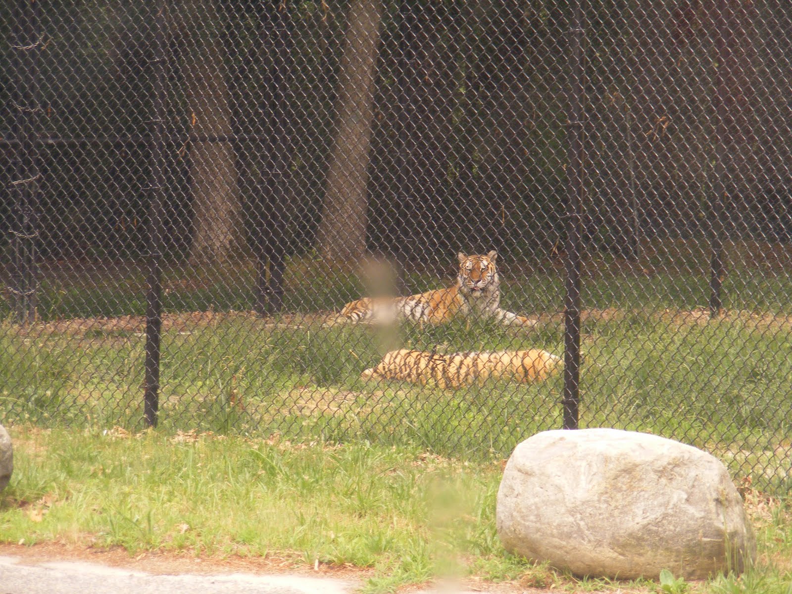 Science Mecca 2009-2010: Six Flags Great Adventure!!!!