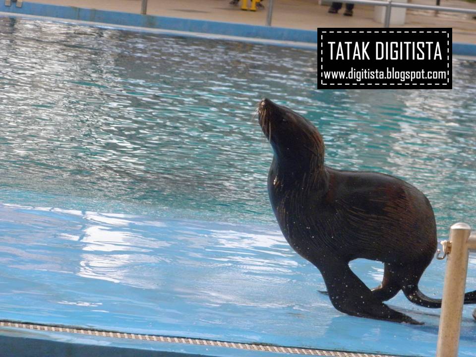 Digitista MediaWave: Explore Singapore! (Day 1 -- The Magic of Sentosa)