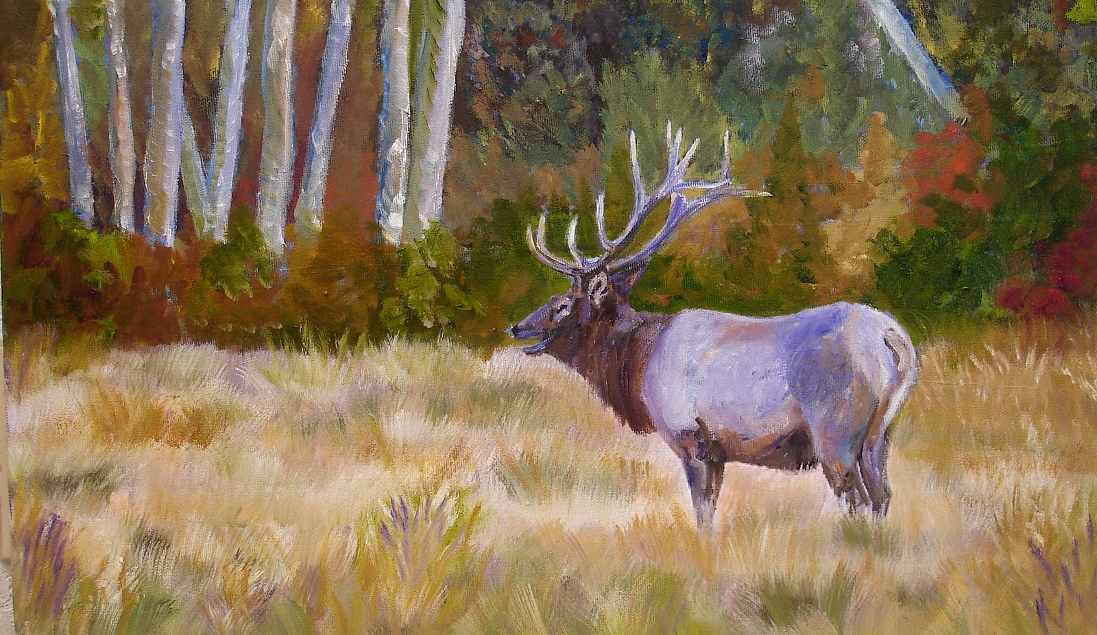 Daily Painters of Washington: ELK WILDLIFE Oil PAINTING Mary Jo Zorad