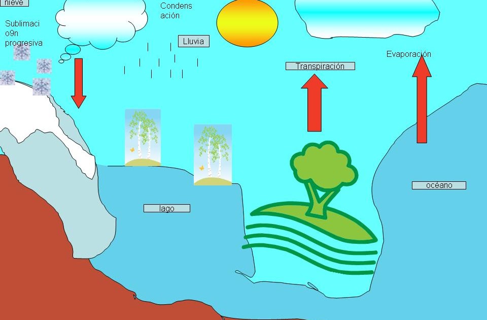 ciclos naturales: CICLO DEL AGUA