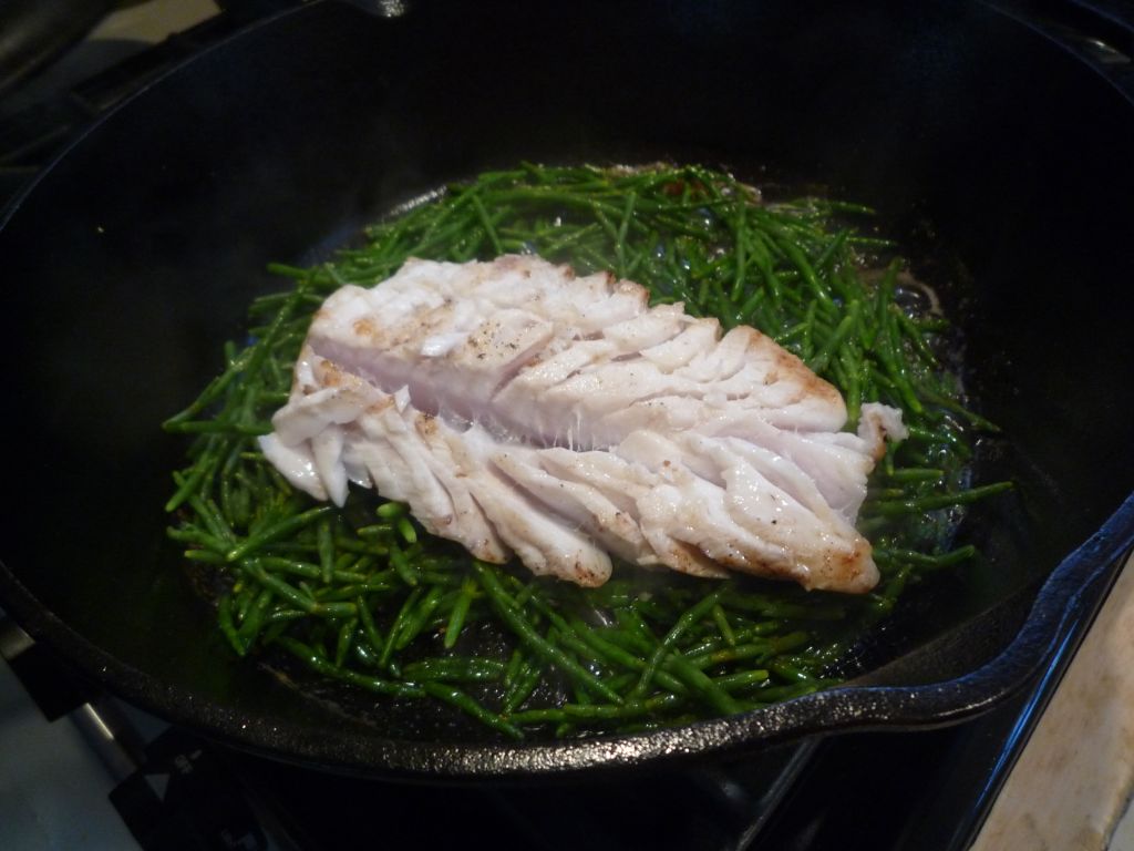 Lynn's Bucket of Shells: A sea pickle by any other name.
