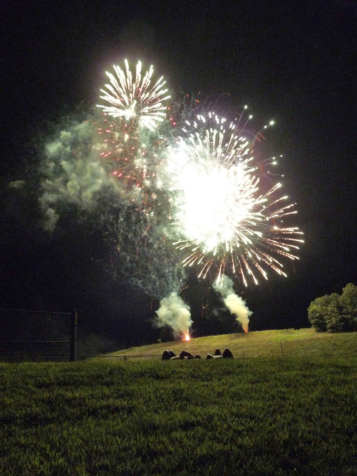 Murrysville Photo Contest: 2010 People & Pets