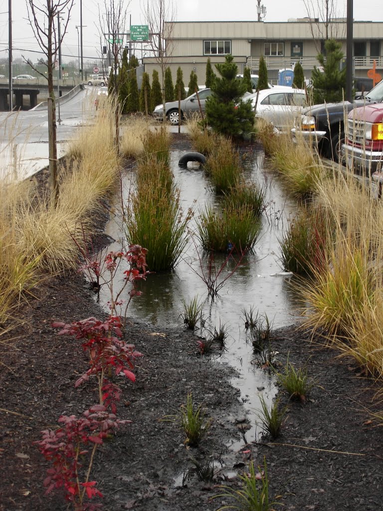 fluid ideas: Examples in Urban Design