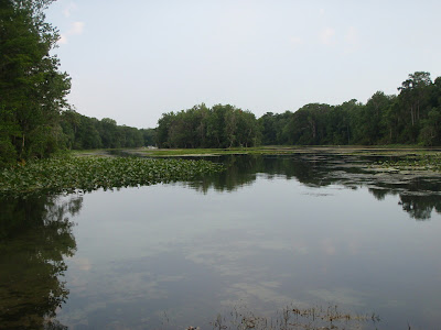 SOUTH GEORGIA KAYAK FISHING: Wacissa River and Springs