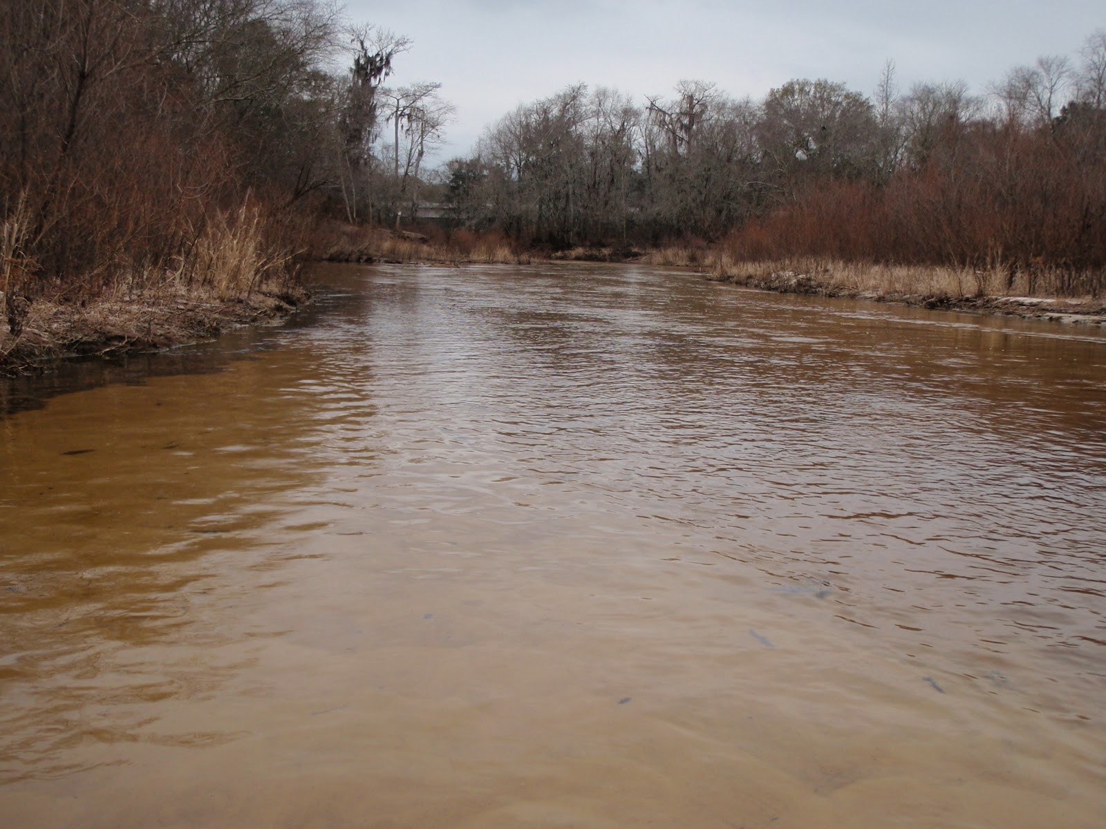 SOUTH GEORGIA KAYAK FISHING: Little River launch at GA 122 Lowndes ...