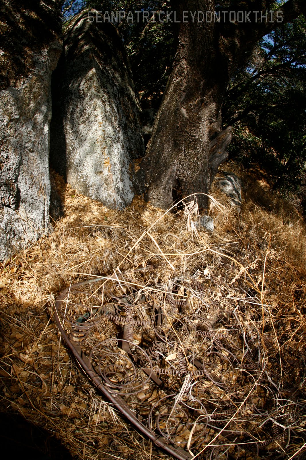 No Not Thought: 7-19-2010 More Natural Distortion