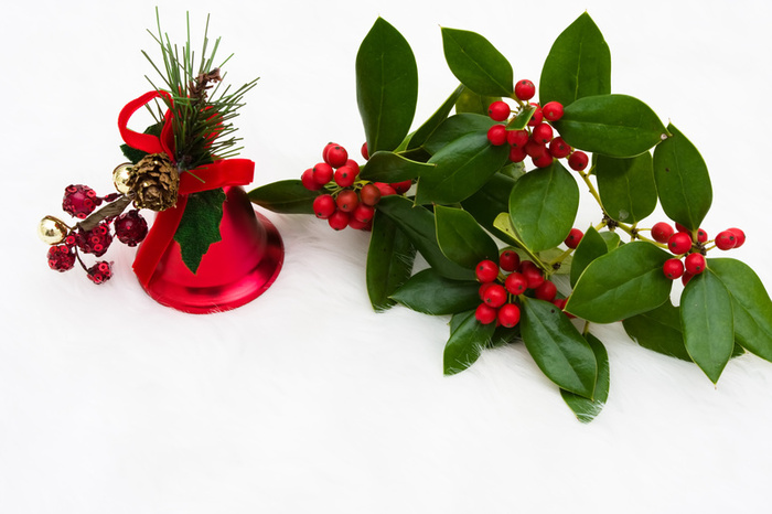 Christmas Holly Berry Wallpapers For Desktop