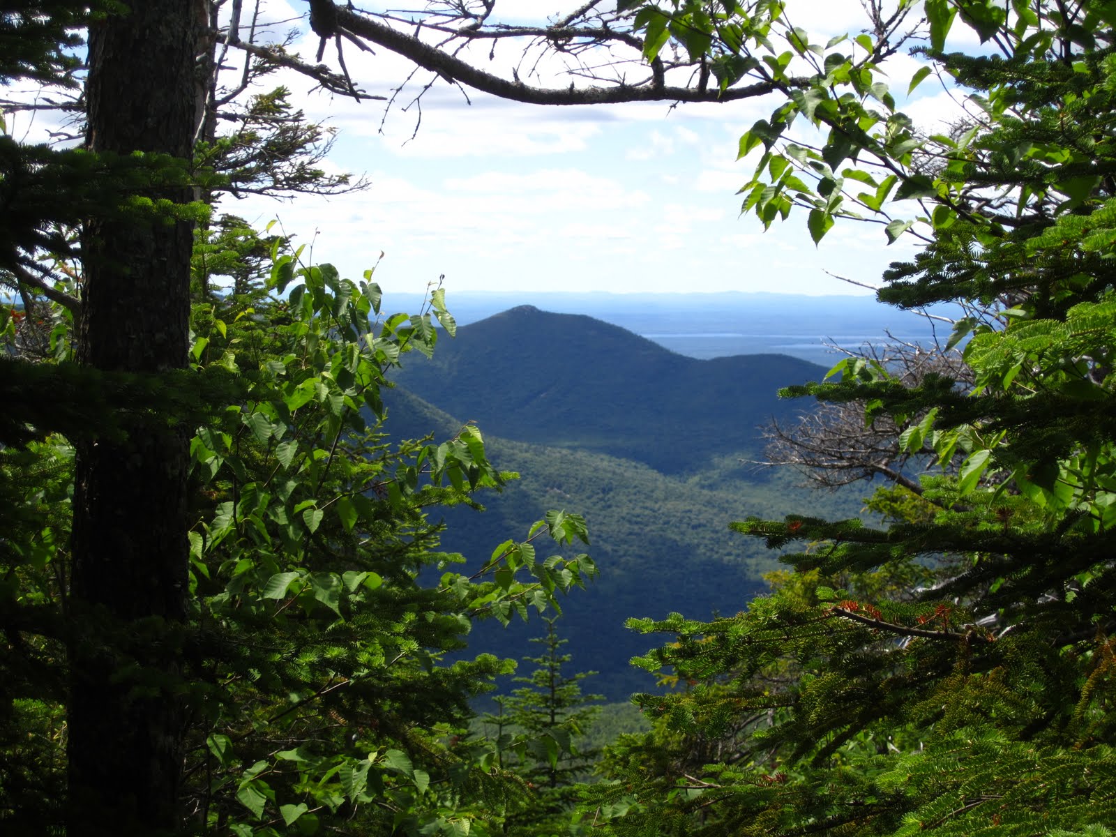 a year of getting up to meet the day: north brother mountain