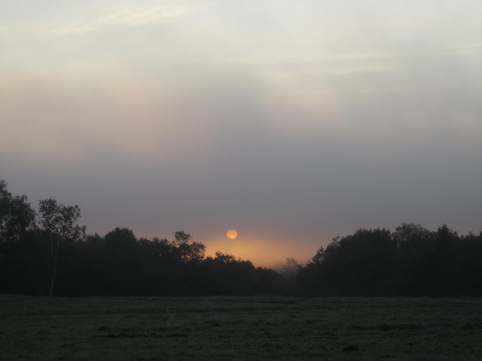 a year of getting up to meet the day: Rachel Field poetry