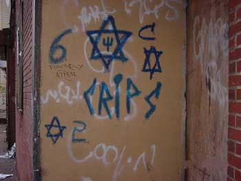 [Información] Crips.