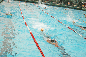 25th SEA Games, Laos: Lao fin swimming team confident of 25th SEA Games ...