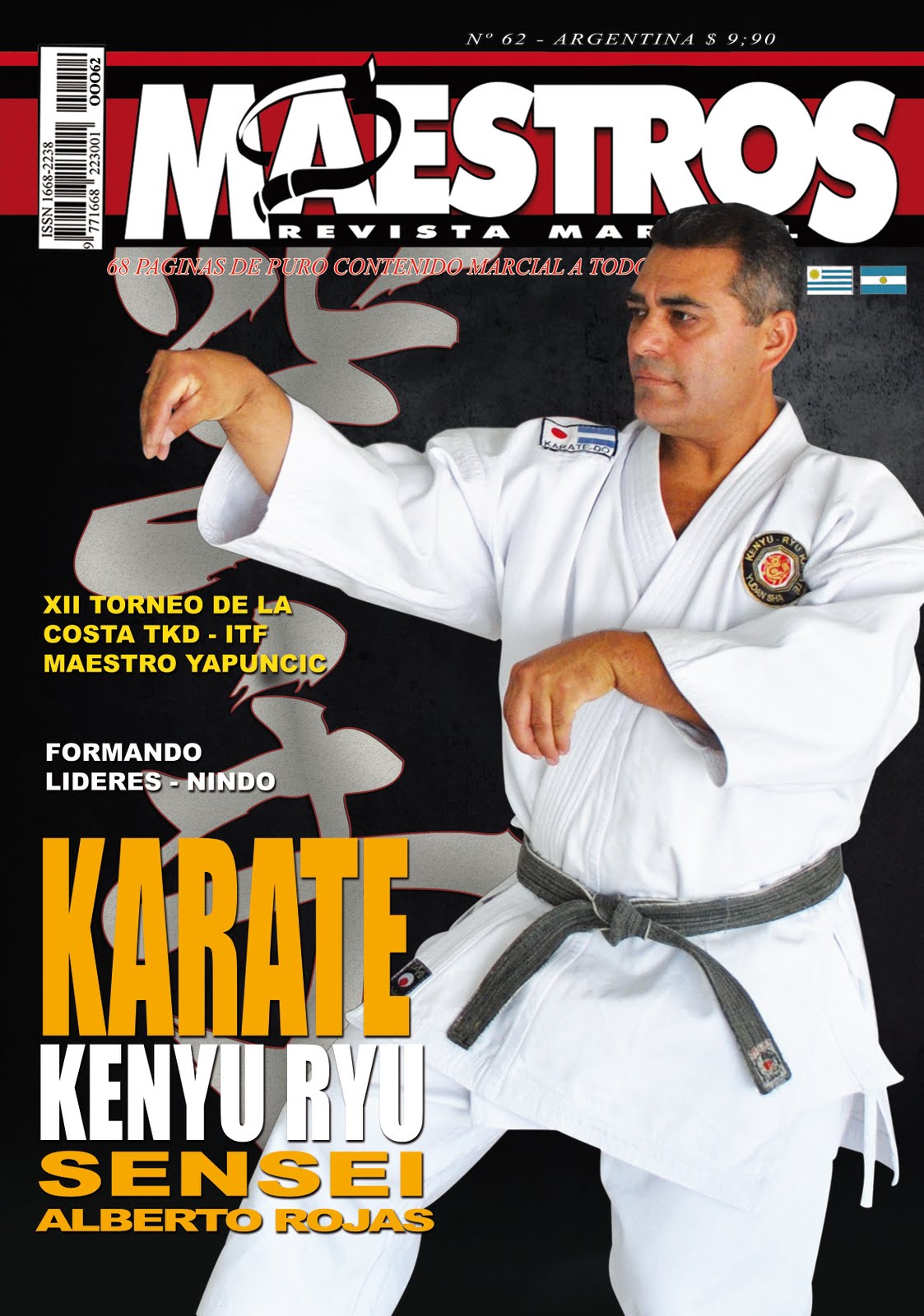 LOS DRAGONES DEL NINJA ROJAS: Sensei Alberto Rojas