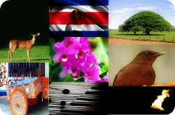 Los Símbolos Nacionales de Costa Rica: LA BANDERA NACIONAL