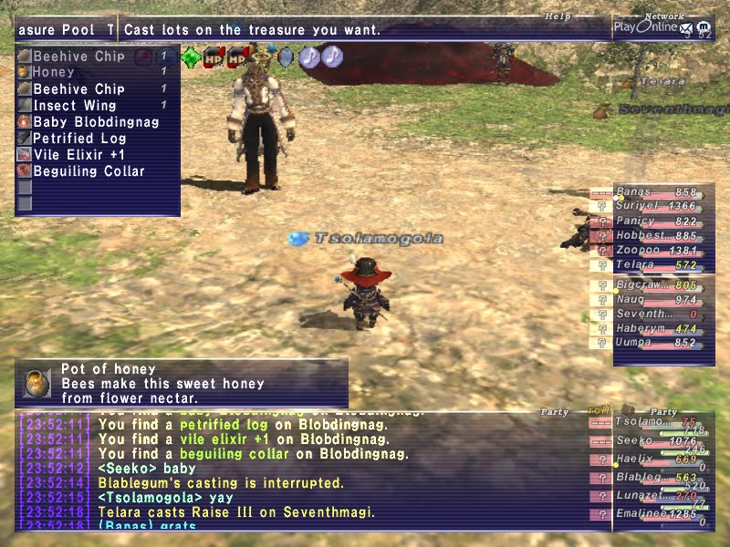 FFXI Blog: Almost 80!