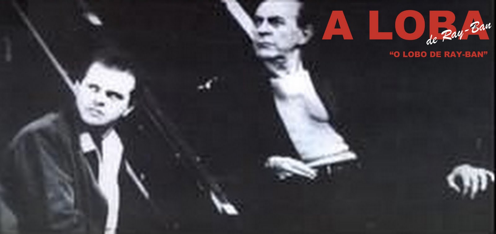 "A Loba de Ray-Ban": O Lobo de Ray-Ban