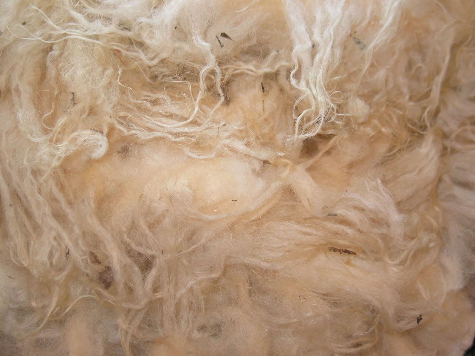 Losing Our Shirts, Keeping The Farm: Quilt Project, Part 2: Fiber ...