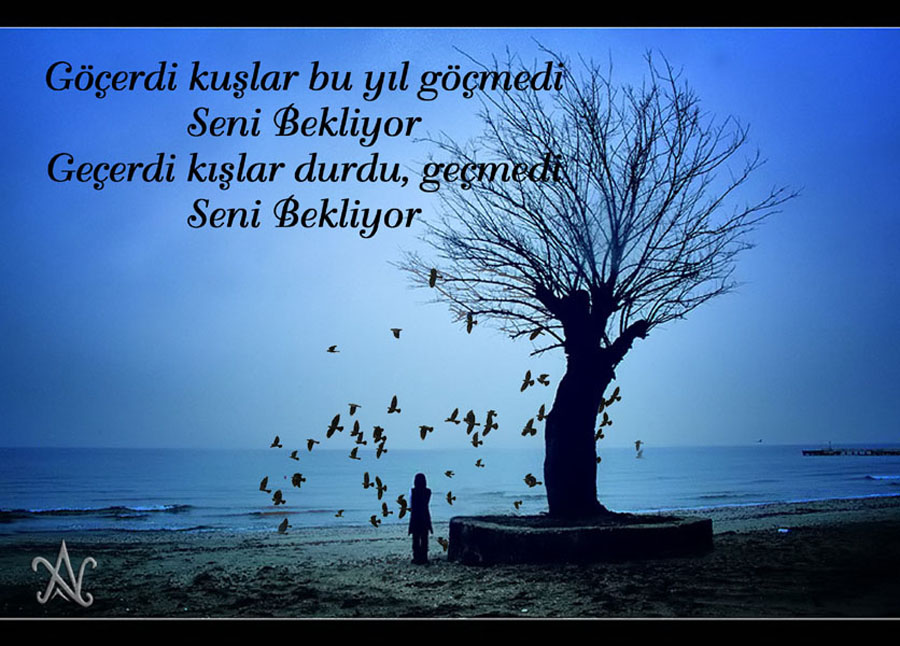 Şiir Defteri: Şiirli Resimler(3)