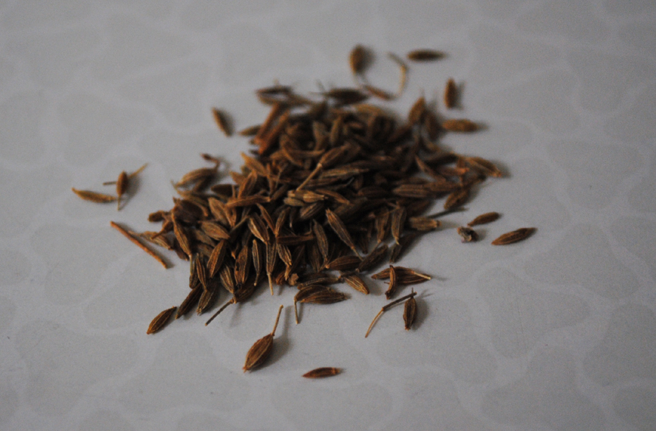 Cesar sem in hočem rezance: Kumin