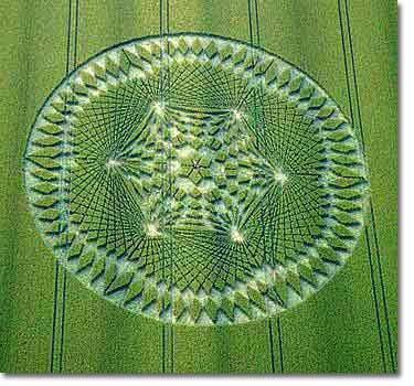 The Box is Open: Some Crop Circle Stuff
