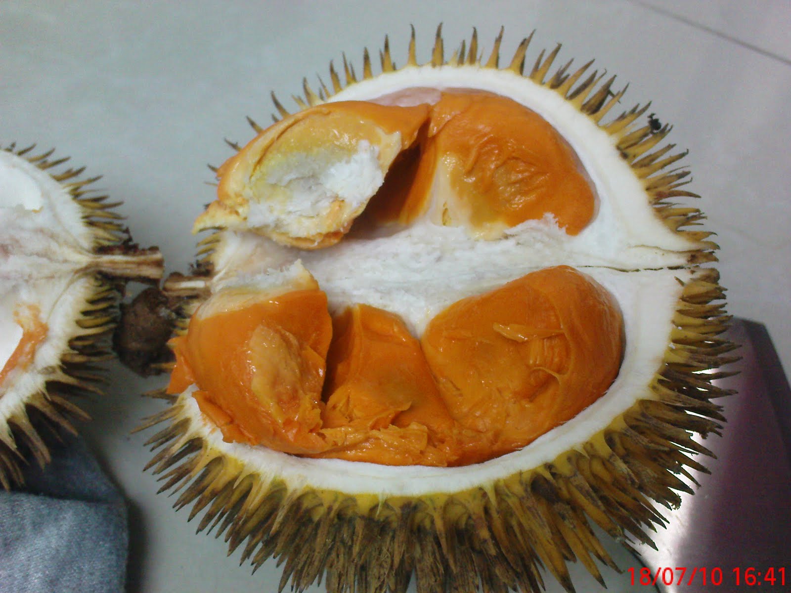 MY LIFE MY STORY: Durian Kuning
