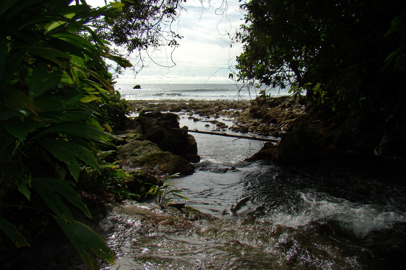 Viajes, bichos y más...: El Chocó