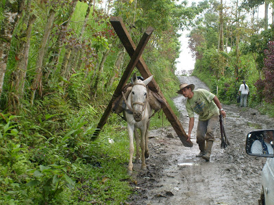 ITUANGO TIERRA DE PAZ: CABALLO CARGANDO MADERA