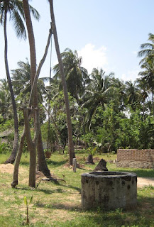 Kirigalpoththa: Interesting Water Well