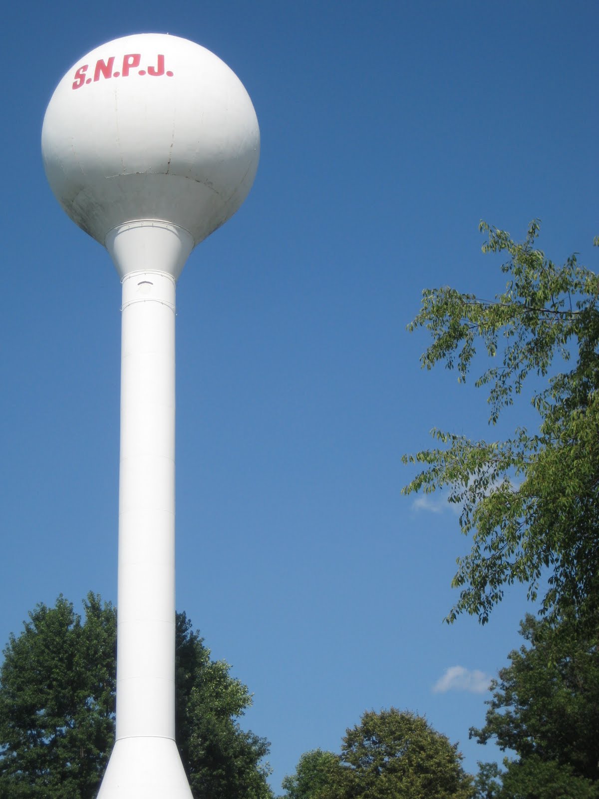 i will shout youngstown: an abridged history of the borough of SNPJ ...