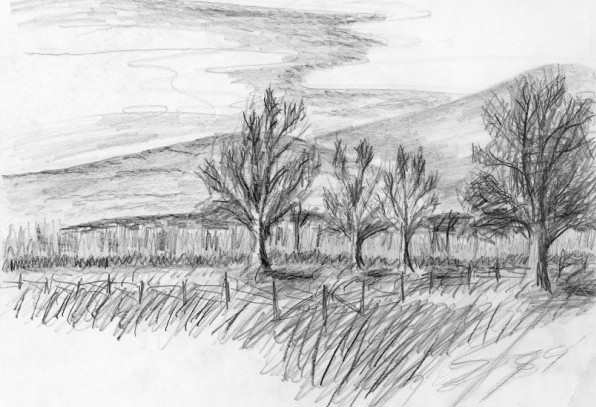 Awesome Examples of Pencil Sketch Art