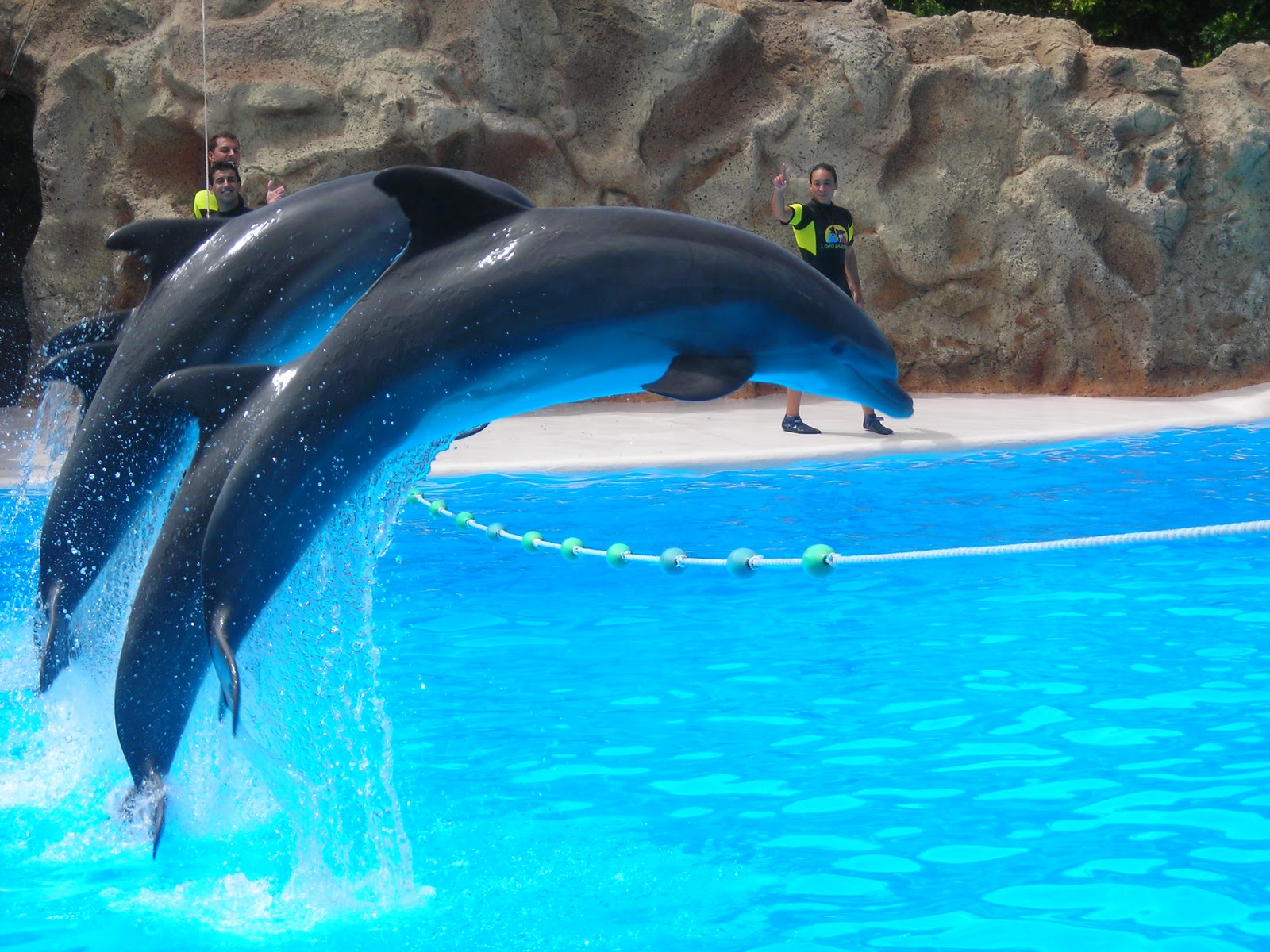 Tourism in the Canary Islands: LORO PARQUE