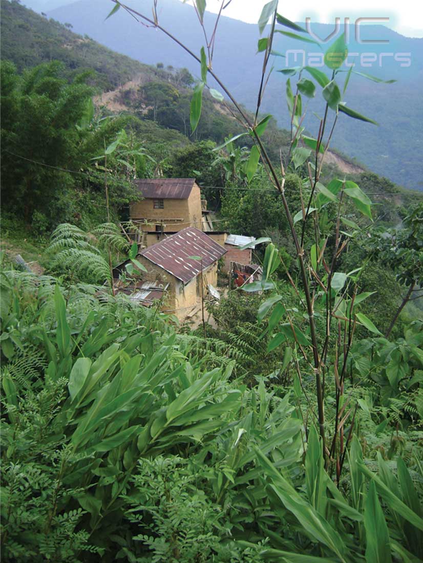 Suapi un paraiso imperdible en Bolivia ~ IMAGENES BOLIVIANAS