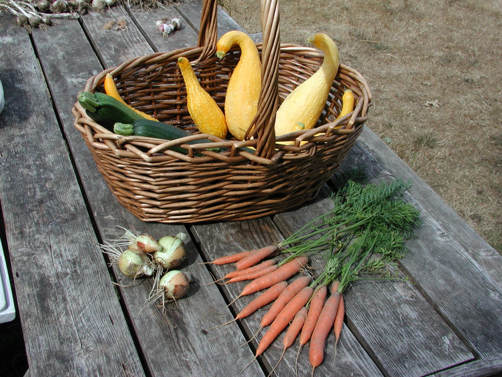 First Harvest - A Mountain Hearth