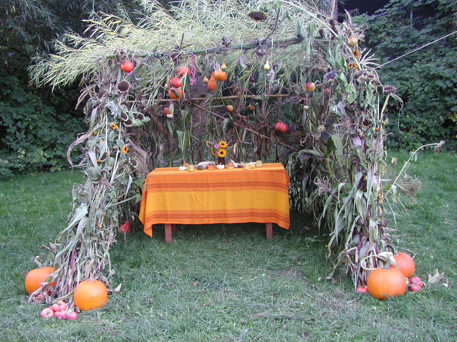 A Sukkot Campout...At School! - A Mountain Hearth