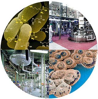 ALL ABOUT BIOTECHNOLOGY: Application of Biotechnology