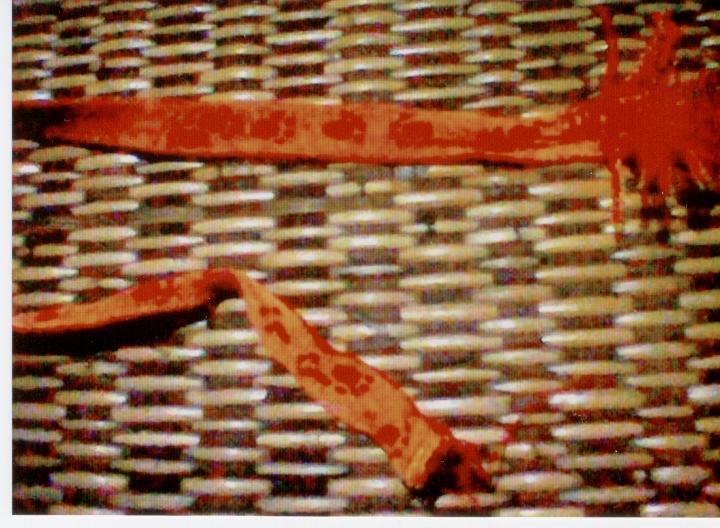 AKMAL HARITH DALAM KENANGAN