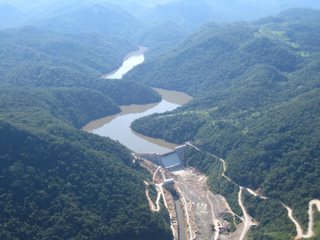 pickles does it again