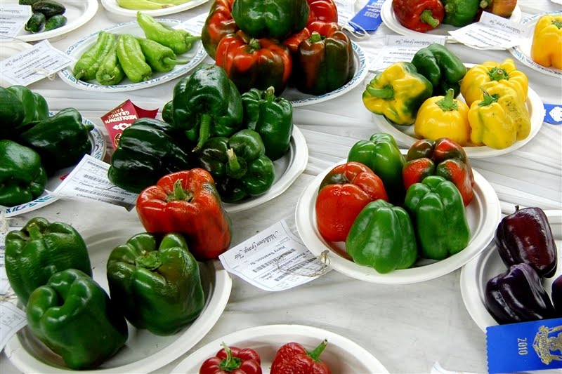 Capadia Designs: At the Fair