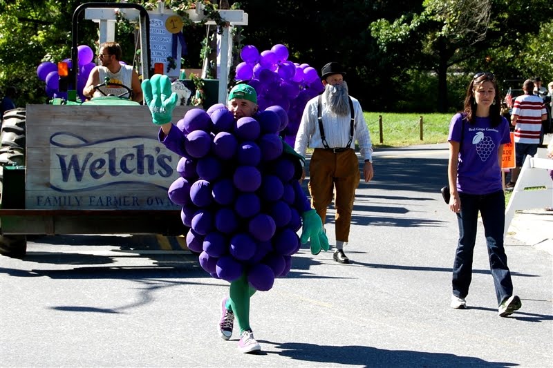 Capadia Designs: A Day to Remember