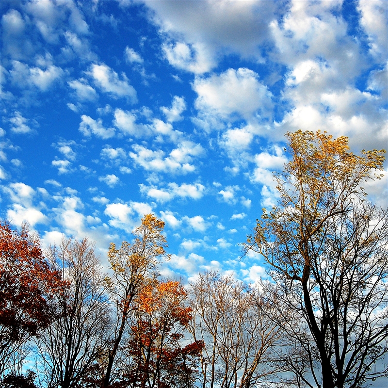 Capadia Designs: October's Bright Blue Weather