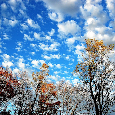 Capadia Designs: October's Bright Blue Weather