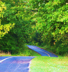 Grace Along the Way... Looking at God's Grace through Ordinary Life: A ...