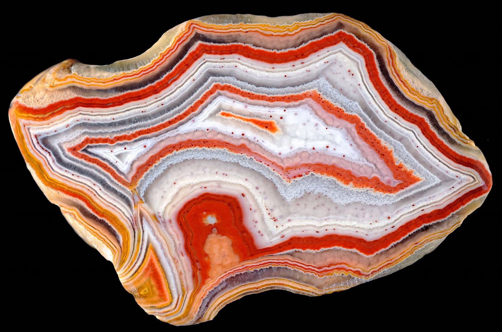 The Agatelady: Adventures and Events: Agate Photos