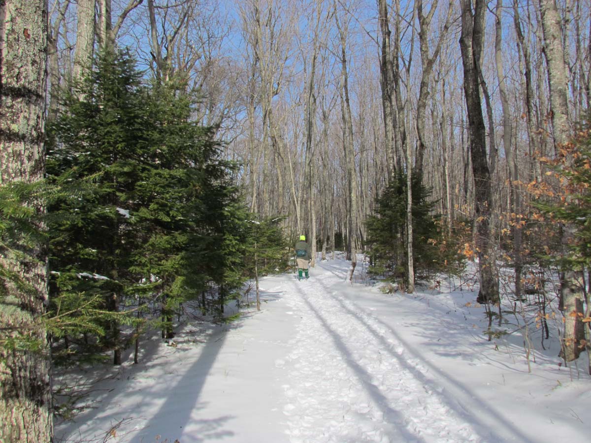 The Agatelady: Adventures and Events: Log Slide to Au Sable Lighthouse ...